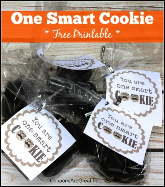 Test Treats: One Smart Cookie Printable Tag