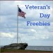 Veteran's Day Freebies for America's Military (Present and Past)